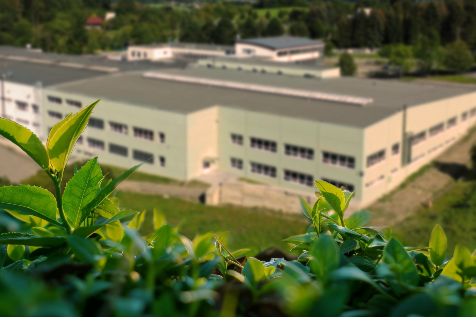 Retigo leading the way with Scope 3 emissions results. - Retigo UK ...